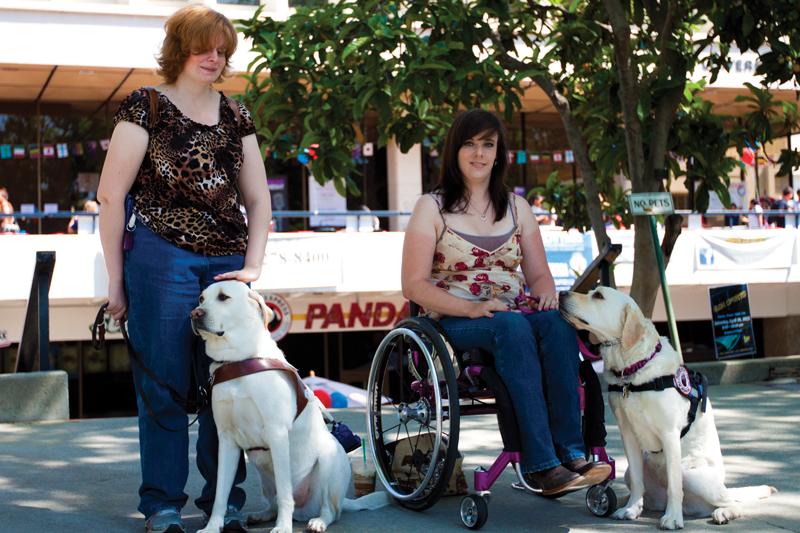 Service dogs help the handicapped – The Collegian